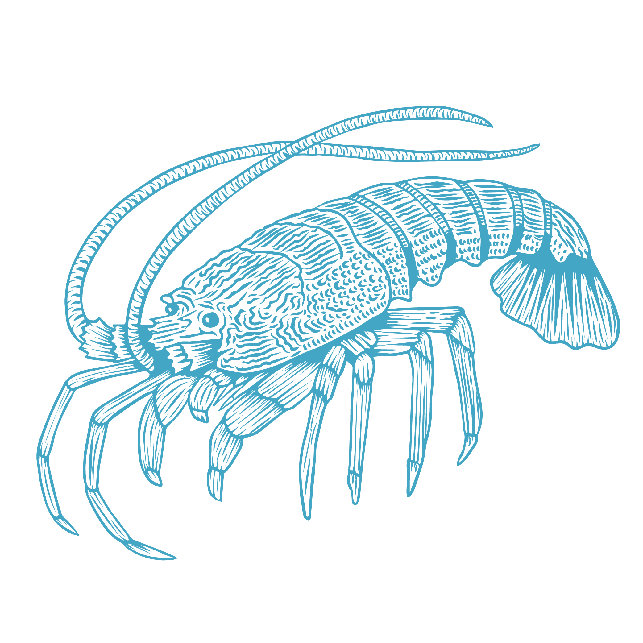 The Blue Lobster - Fresh and Cooked Seafood | Blue Lobster Fresh and ...